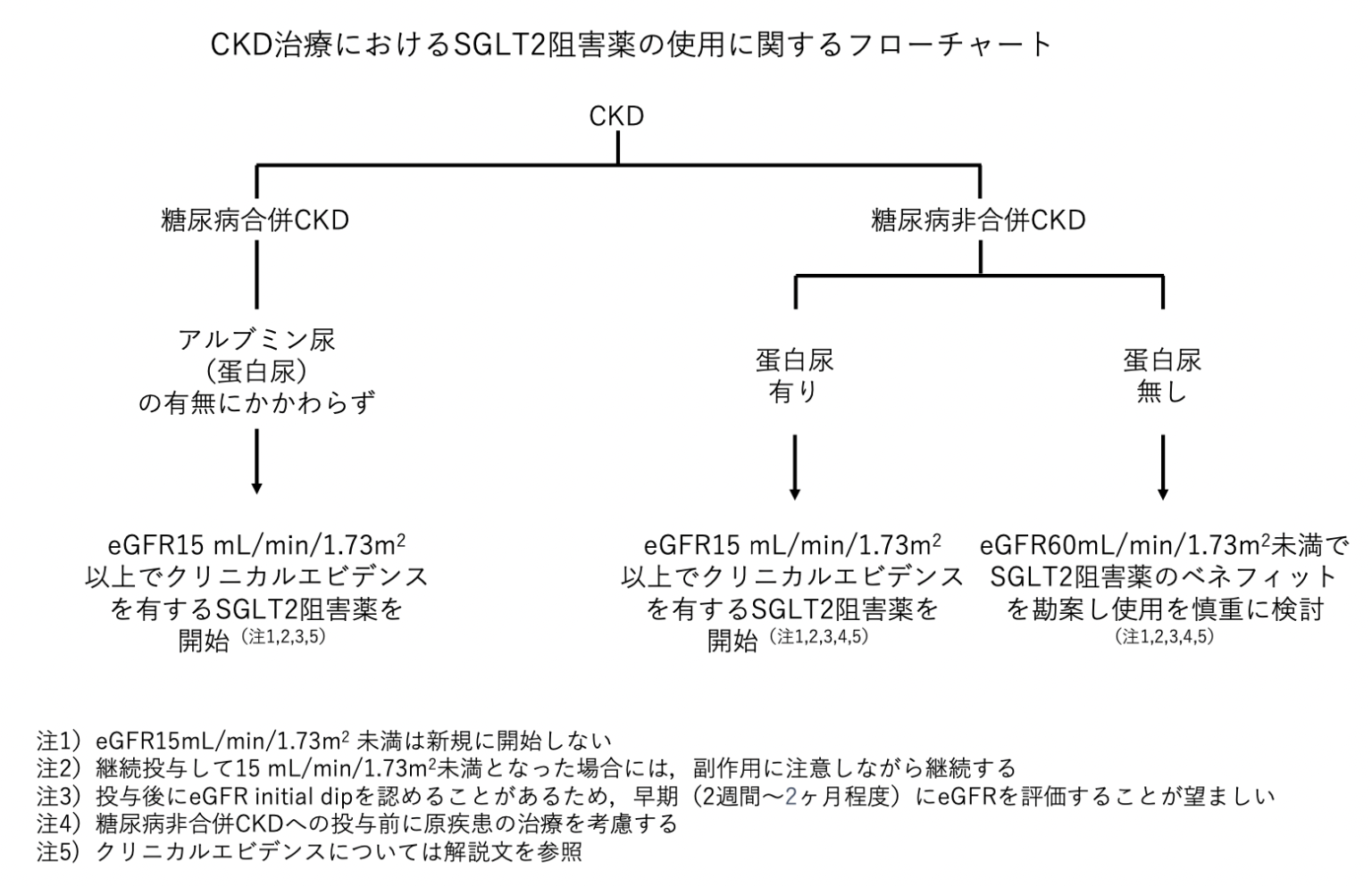 【これだけは知っておきたい】CKD患者に対するSGLT2阻害薬の使い方 | 腎臓内科医の備忘録